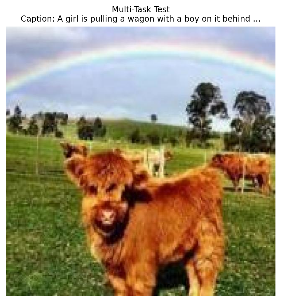 Multi-Task Vision-Language Model: Caption, Detect, and Answer – VLM ...